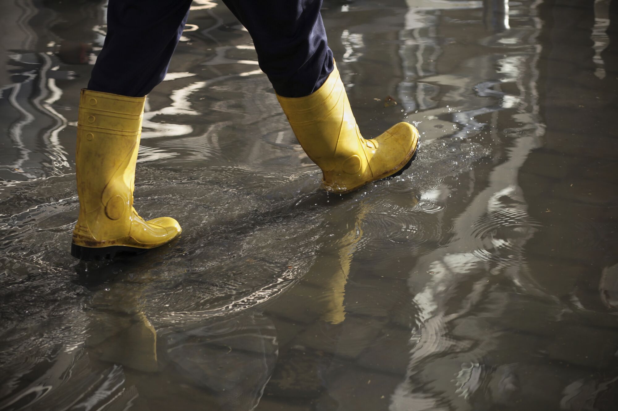 Flood Agent | Contact Us | Assurant
